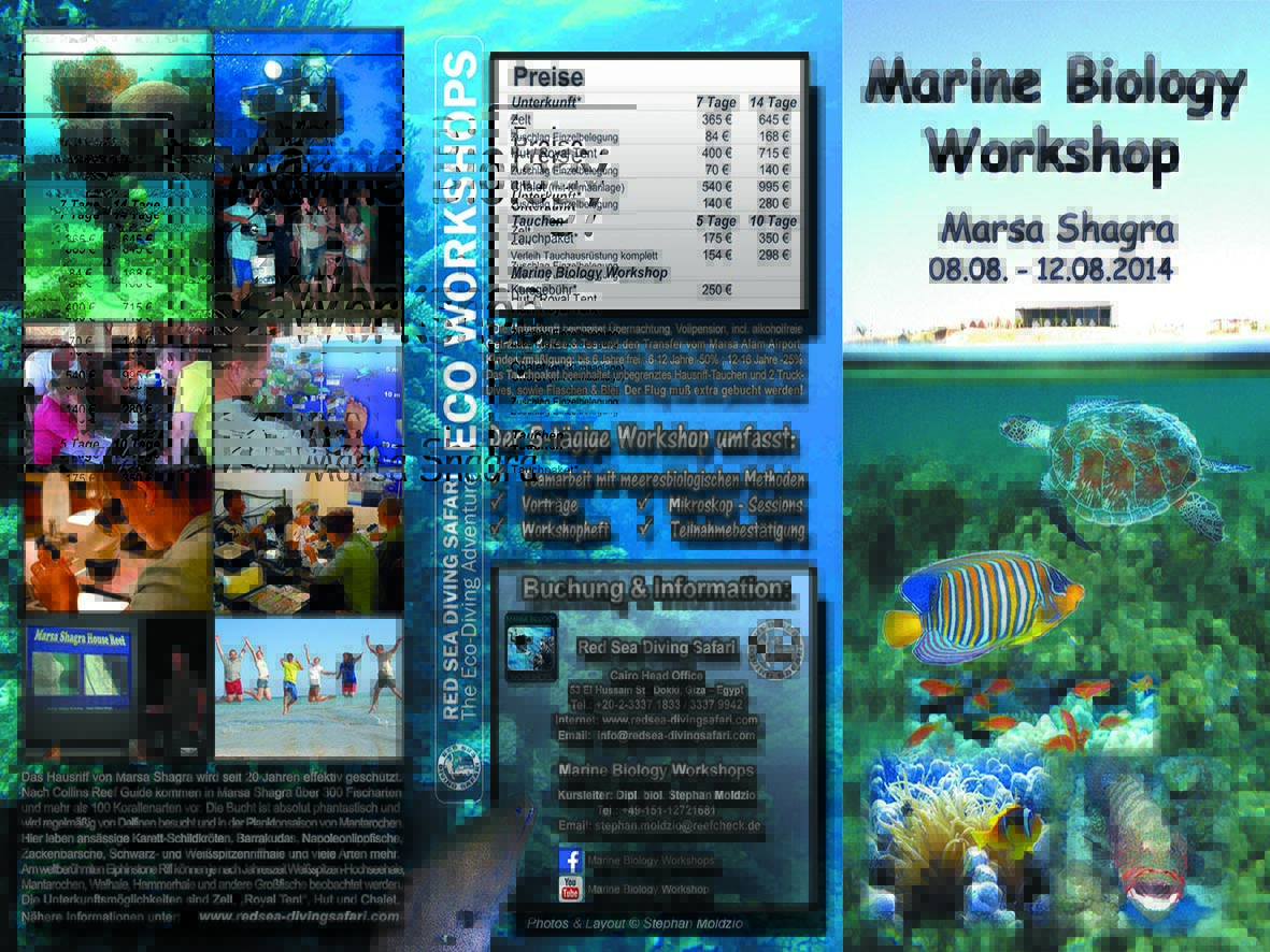 Marine Biology Workshop - GREEN CORALS