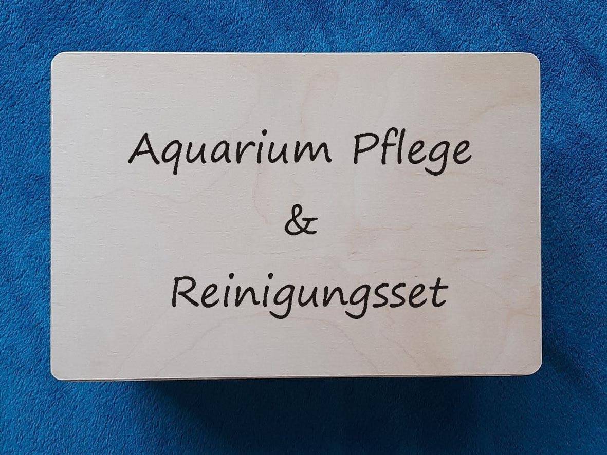 Wooden box dimensions 30 x 20 x 14 cm - GREEN CORALS